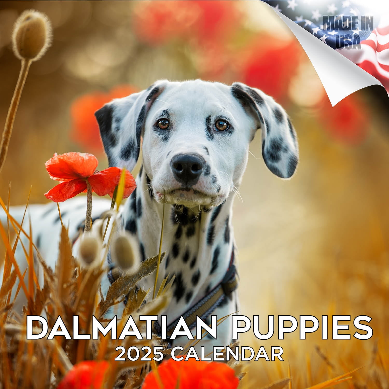 2025 2026 Dalmatian Puppies Calendar - Dog Breed Monthly Wall Calendar ...