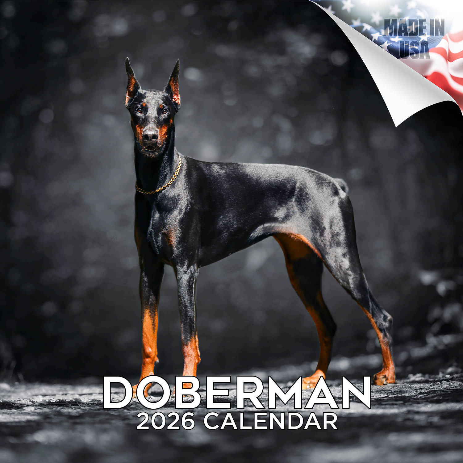MegaCalendars 2026-2027 Doberman Wall Calendar, 12x12 Bonus Month ...