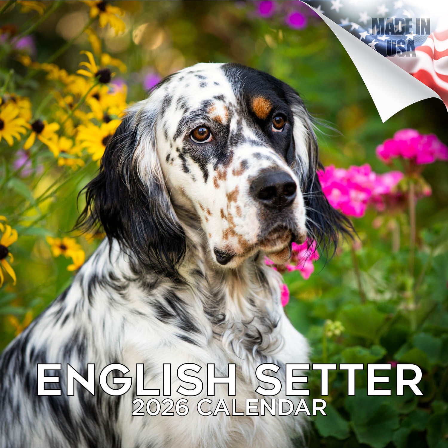 2025 2026 English Setter Calendar - Dog Breed Monthly Wall Calendar ...