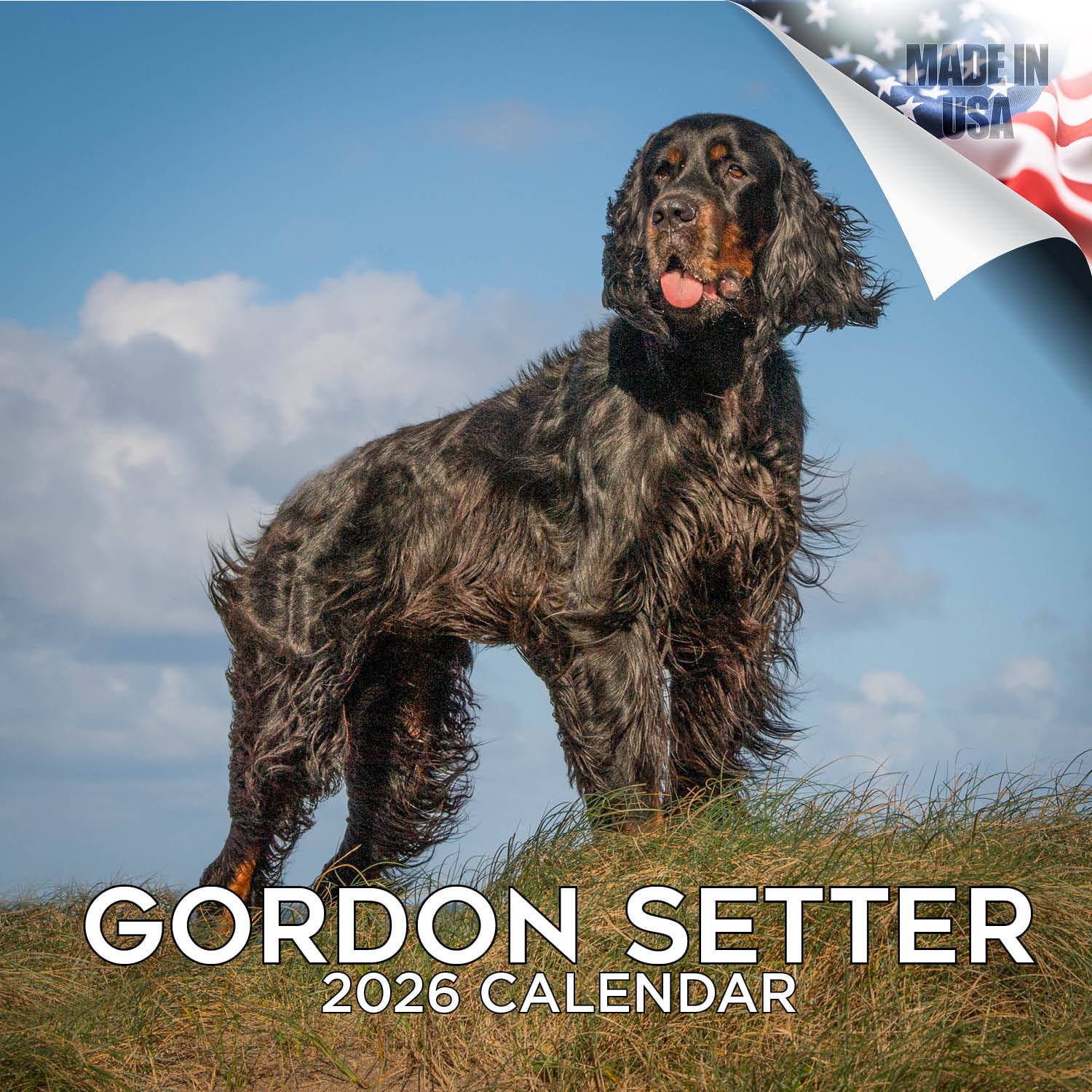 2025 2026 Gordon Setter Calendar - Dog Breed Monthly Wall Calendar - 12 ...