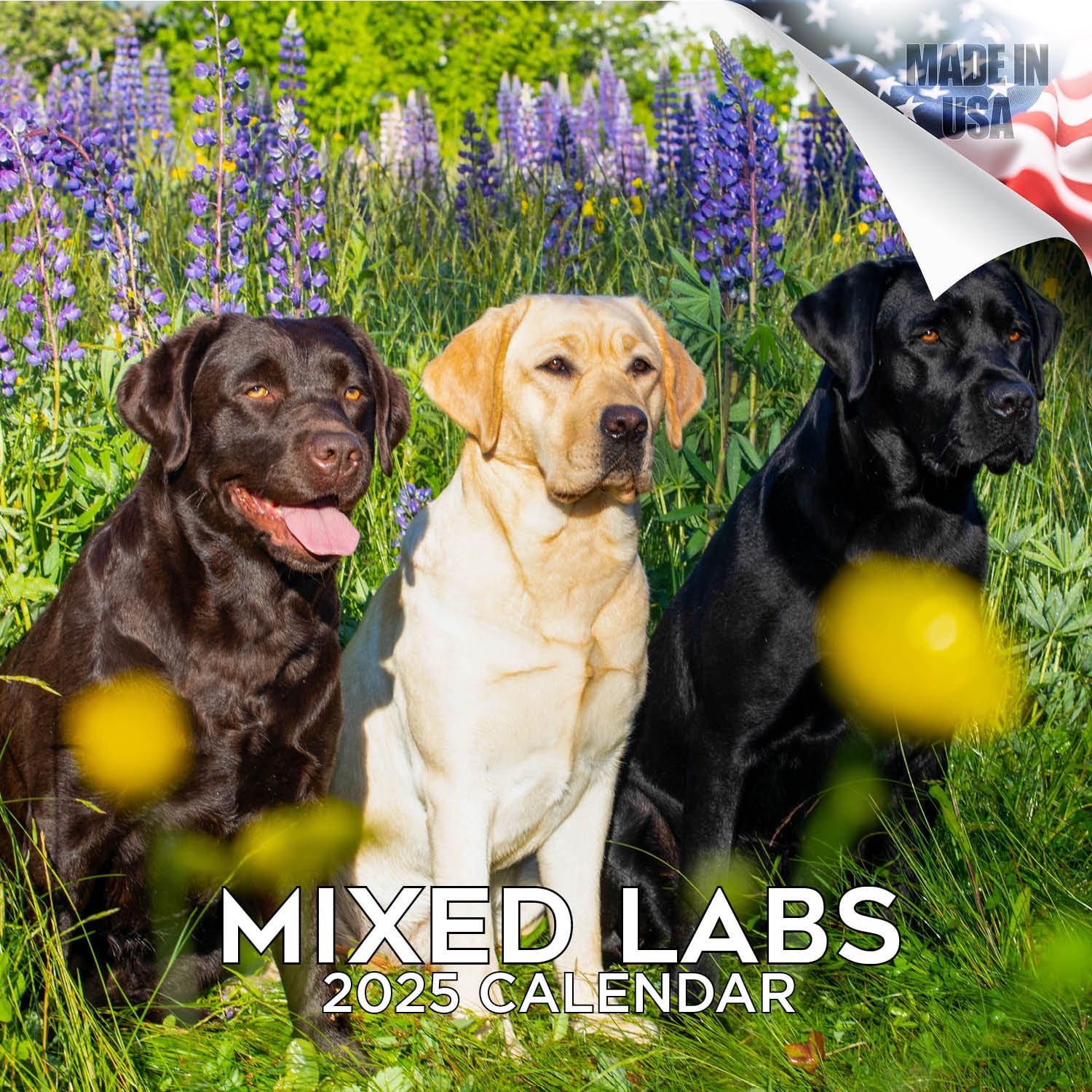 2024-2025 USA-Made Labrador Retriever Mixed Breed Monthly Calendar ...