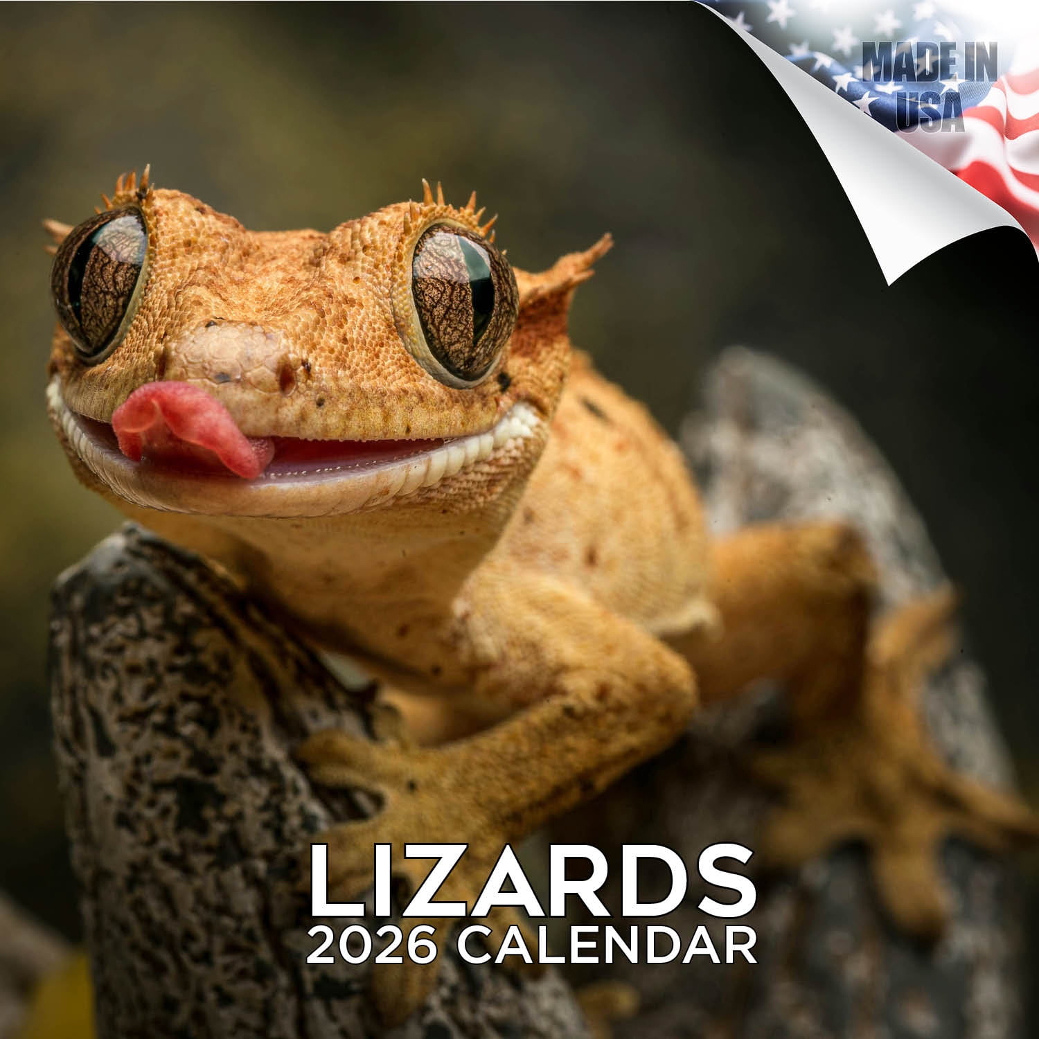 2025 2026 Lizards Calendar - Wildlife Monthly Wall Calendar - 12 x 24 ...