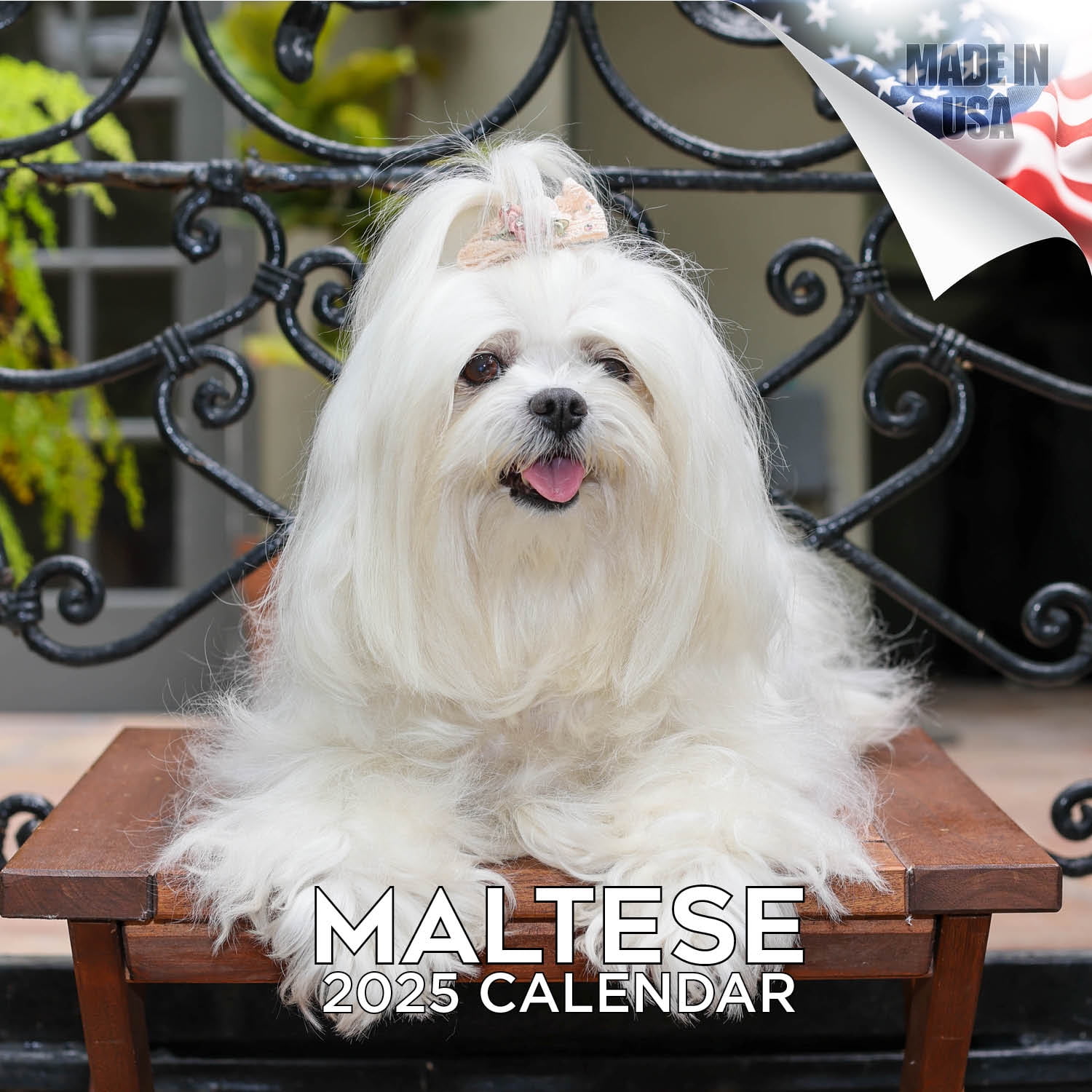2025 2026 Maltese Calendar - Dog Breed Monthly Wall Calendar - 12 x 24 ...