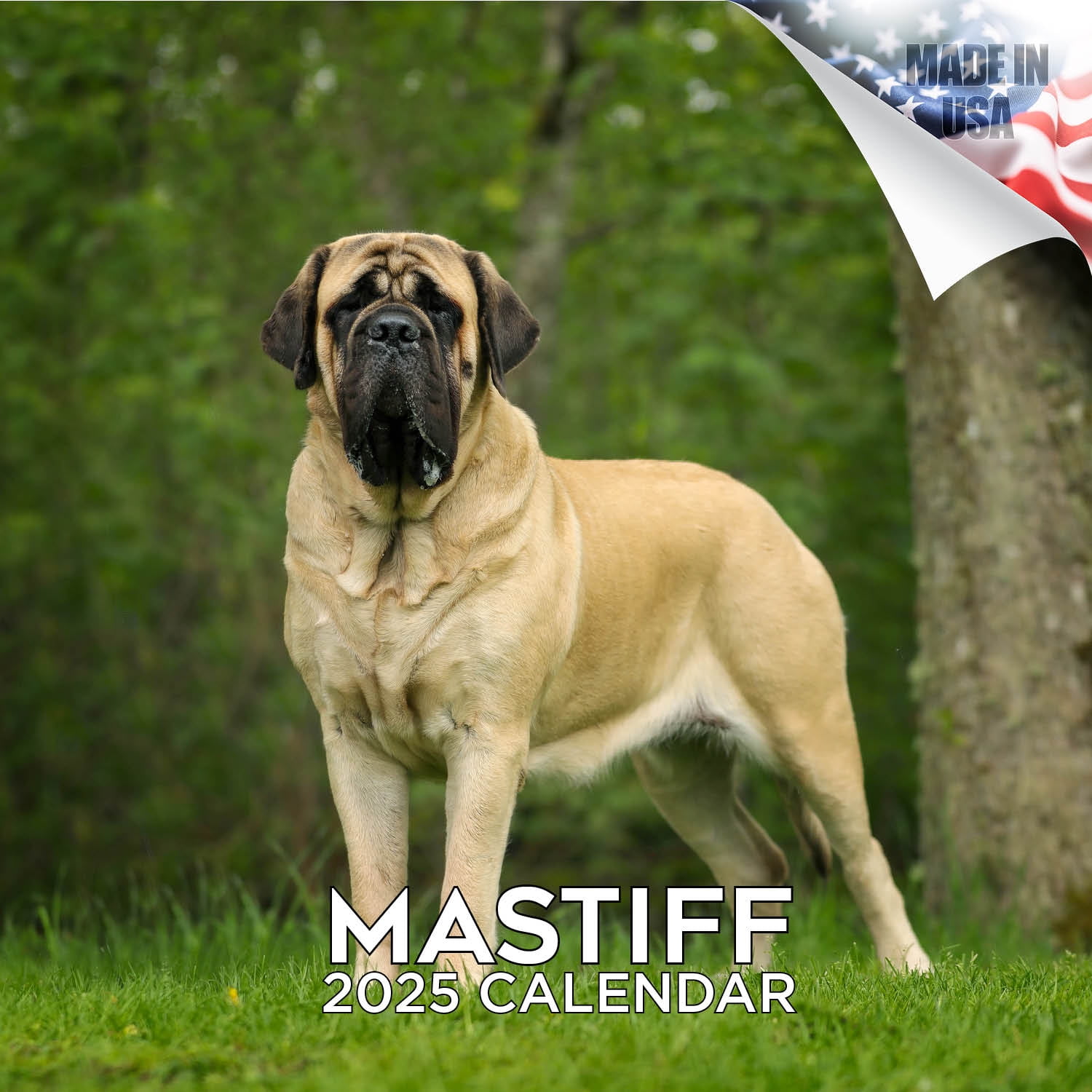 2025 2026 Mastiff Calendar - Dog Breed Monthly Wall Calendar - 12 x 24 ...