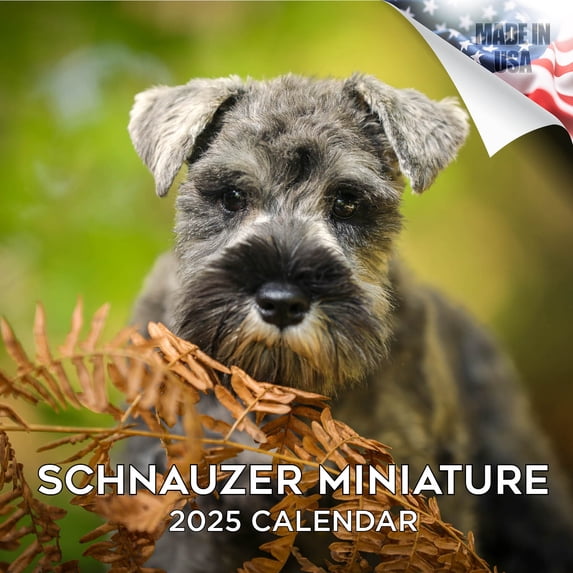 2024 2025 Miniature Schnauzer Calendar - Dog Breed Monthly Wall ...