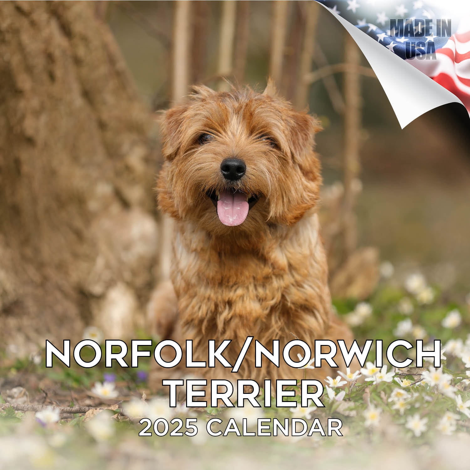 2024 2025 Norwich - Norfolk Calendar - Dog Breed Monthly Wall Calendar ...