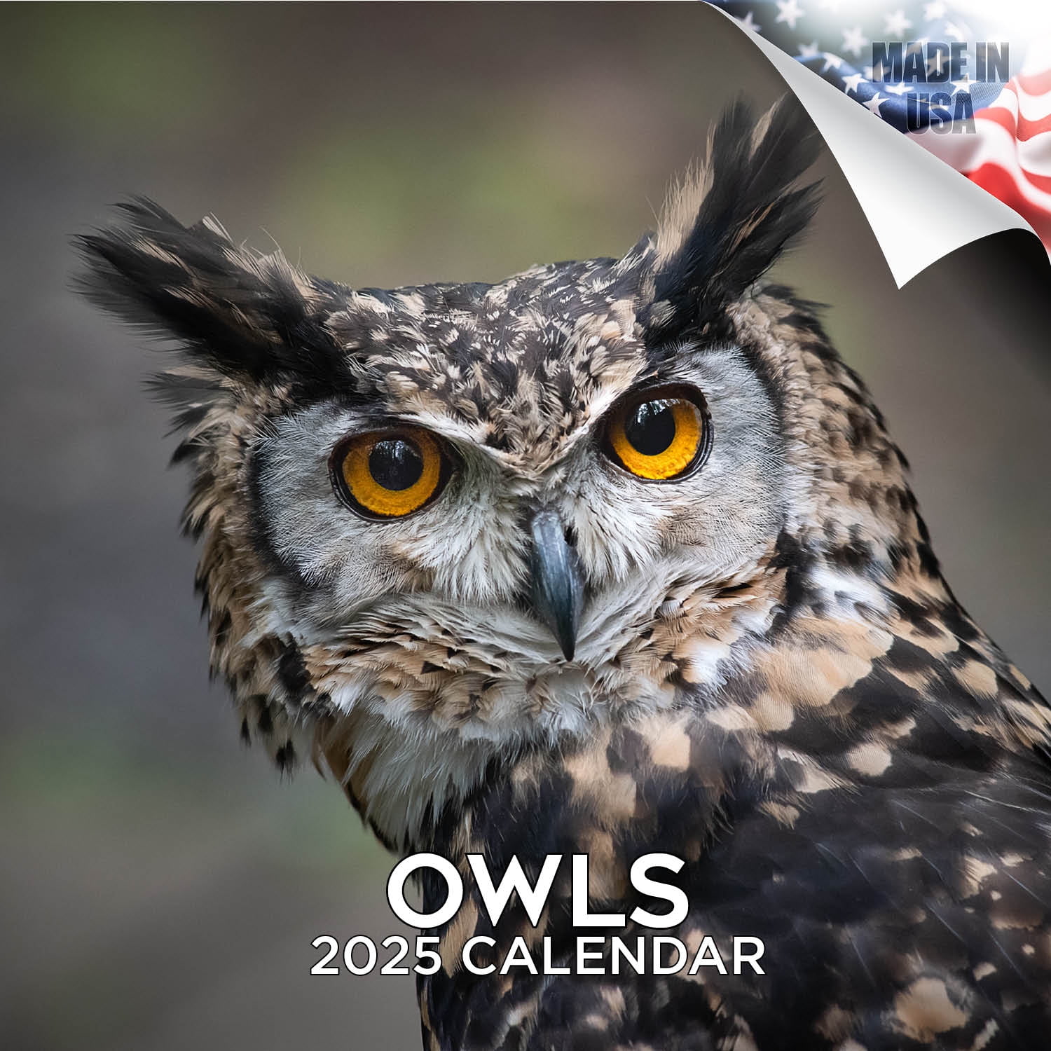 2024 2025 Owls Calendar - Wildlife Monthly Wall Calendar - 12 x 24 Open ...