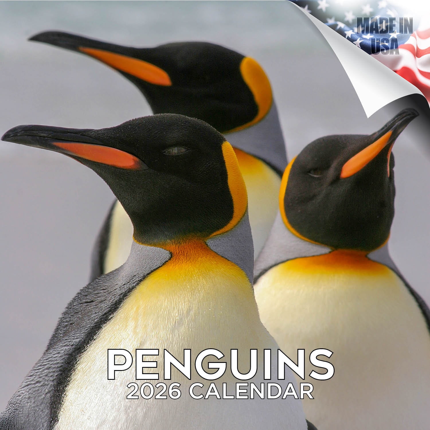 2025 2026 Penguins Calendar - Cute Animal Bird Monthly Wall Calendar ...