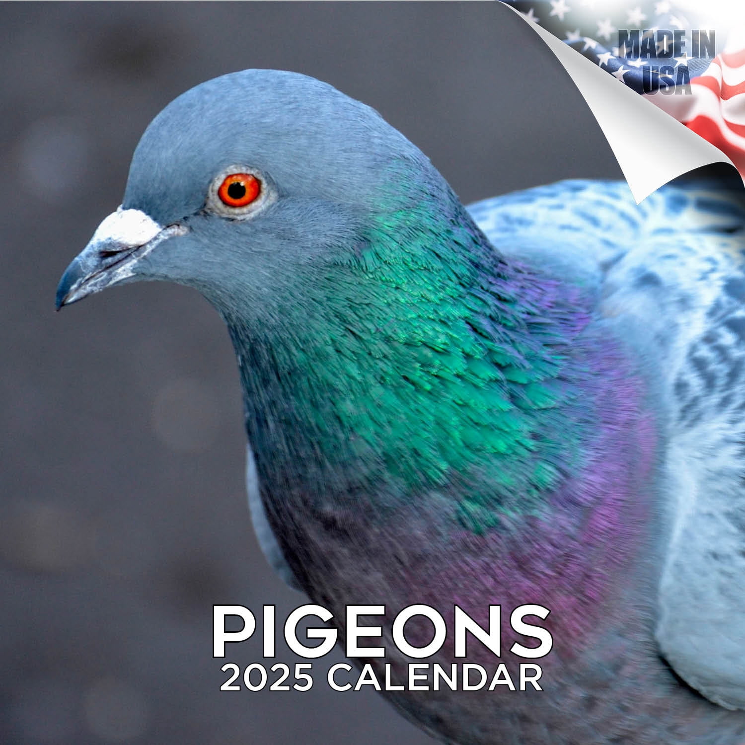 2024 2025 Pigeons Calendar - Wildlife Monthly Wall Calendar - 12 x 24 ...