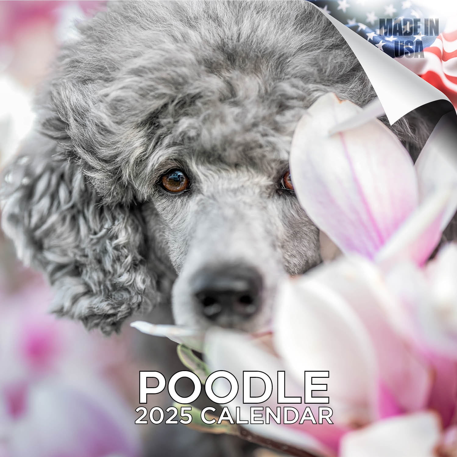 2025 2026 Poodle Calendar - Dog Breed Monthly Wall Calendar - 12 x 24 ...