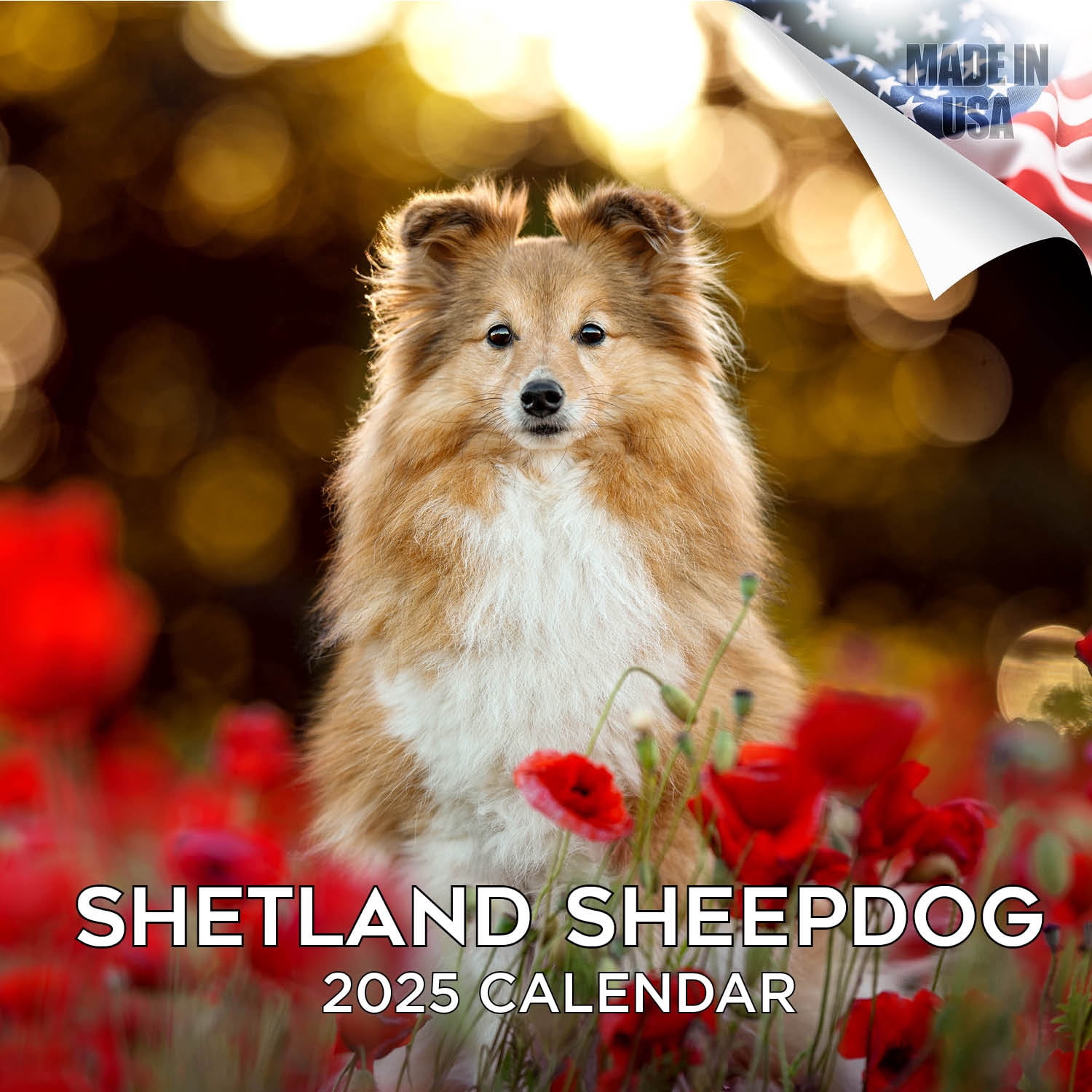 2024 2025 Shetland Sheepdog Calendar - Dog Breed Monthly Wall Calendar ...