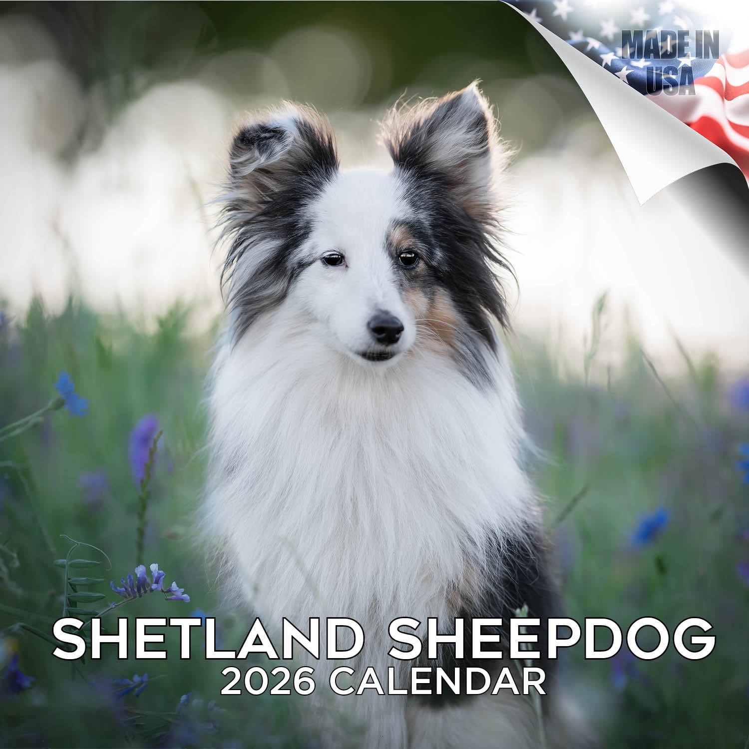 2025 2026 Shetland Sheepdog Calendar - Dog Breed Monthly Wall Calendar ...