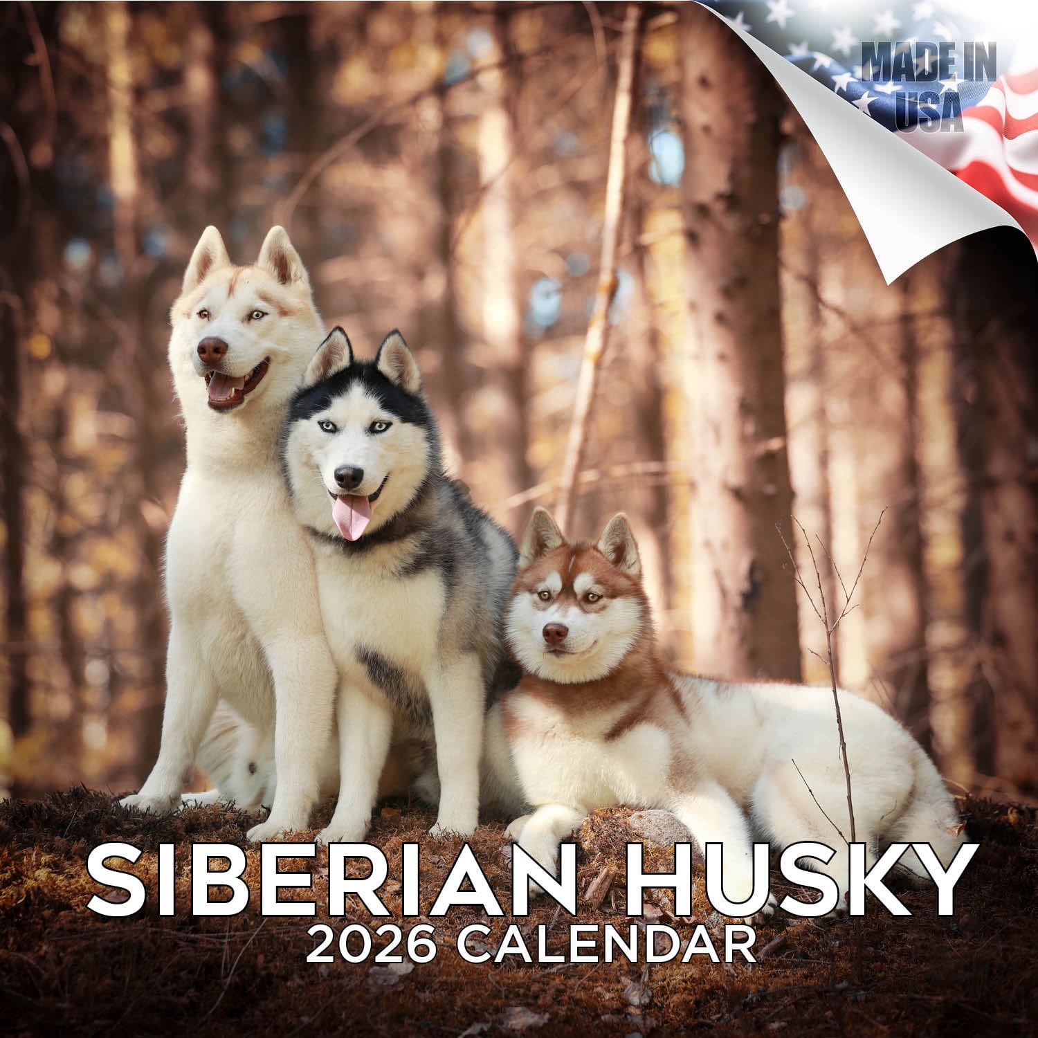 2025 2026 Siberian Husky Calendar - Dog Breed Monthly Wall Calendar ...