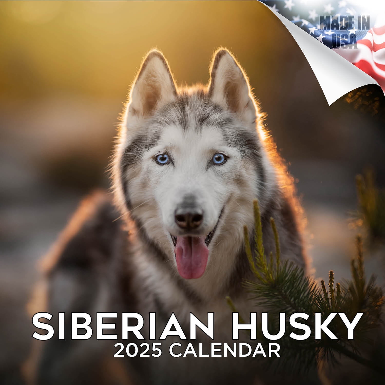 2024 2025 Siberian Husky Calendar - Dog Breed Monthly Wall Calendar ...