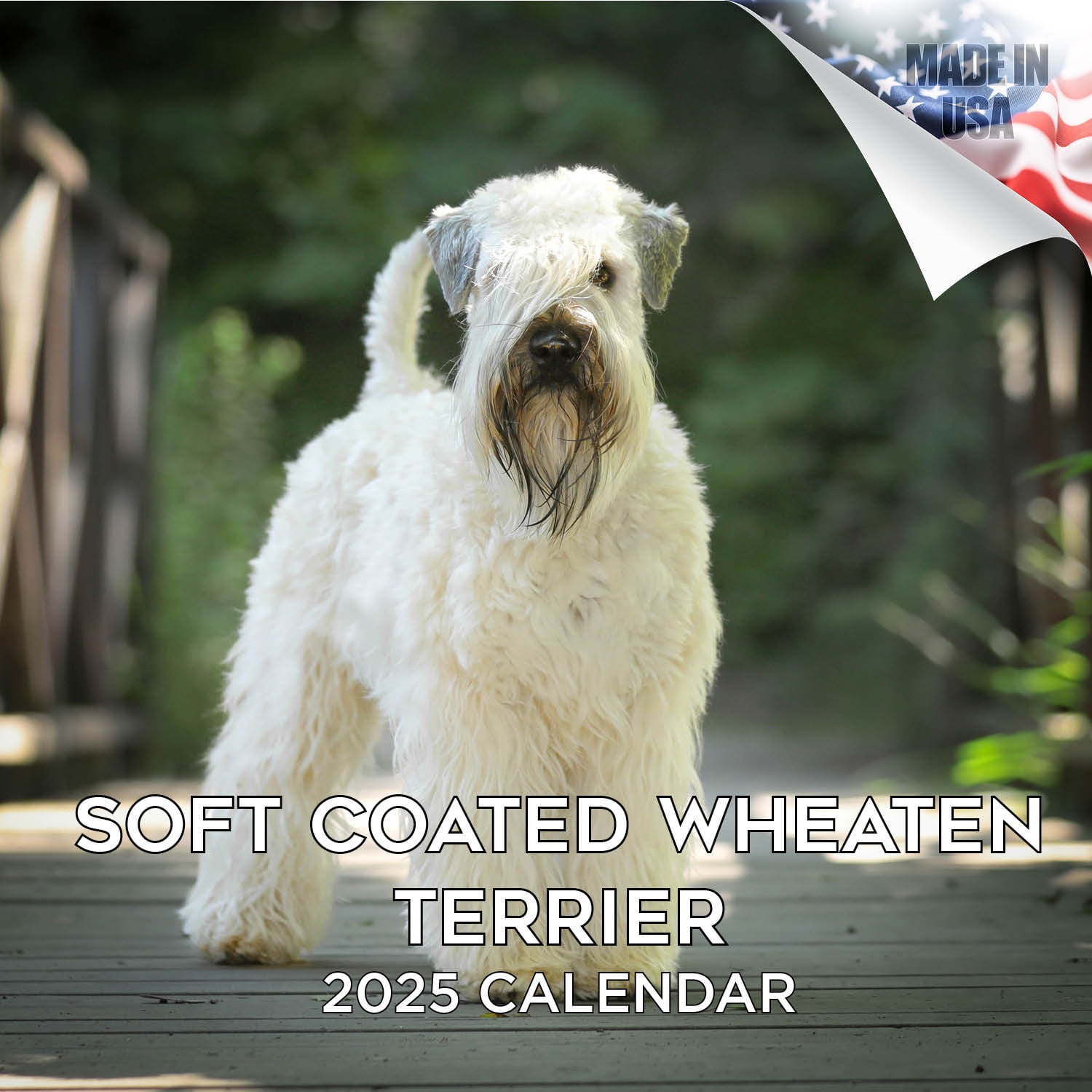 2025 2026 Soft Coated Wheaten Terrier Calendar - Dog Breed Monthly Wall ...