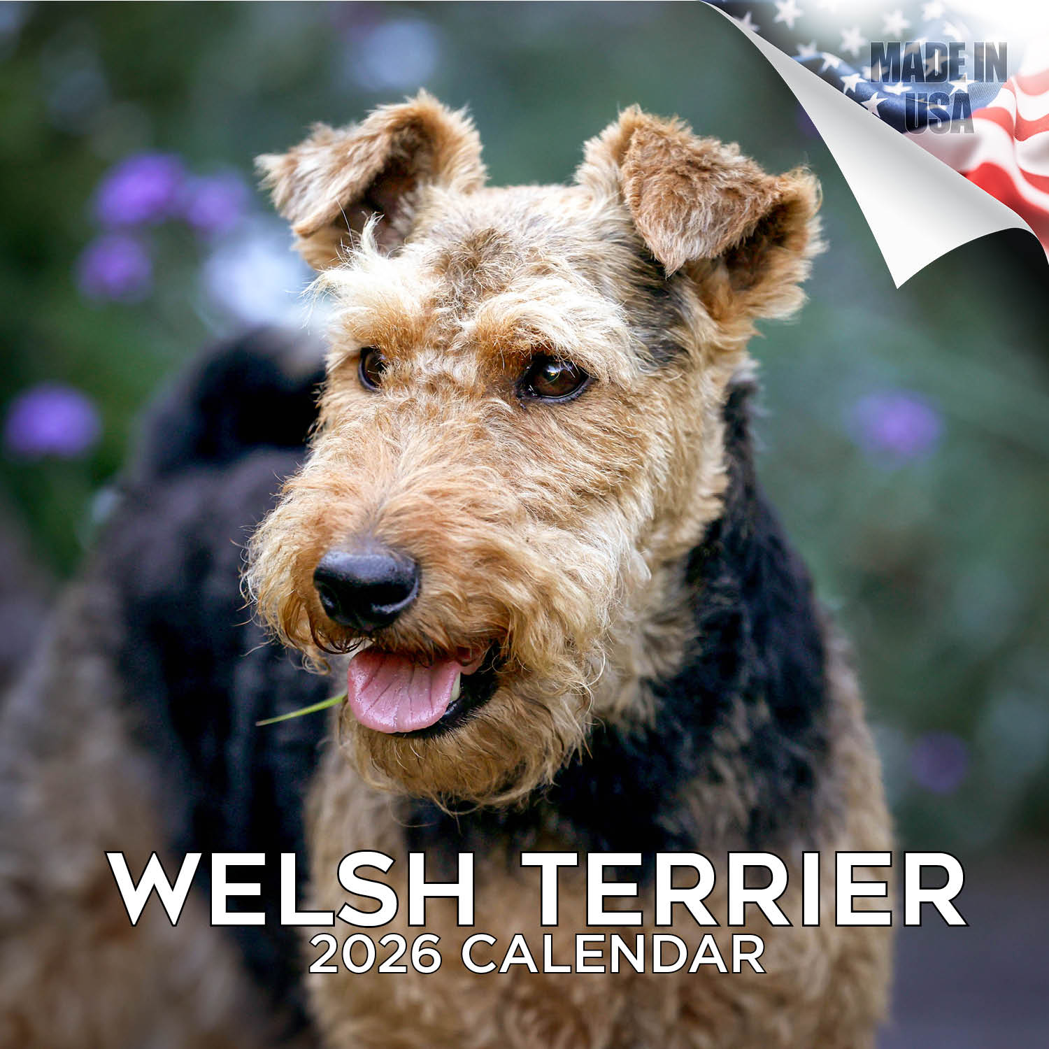 2025 2026 Welsh Terrier Calendar - Dog Breed Monthly Wall Calendar - 12 ...