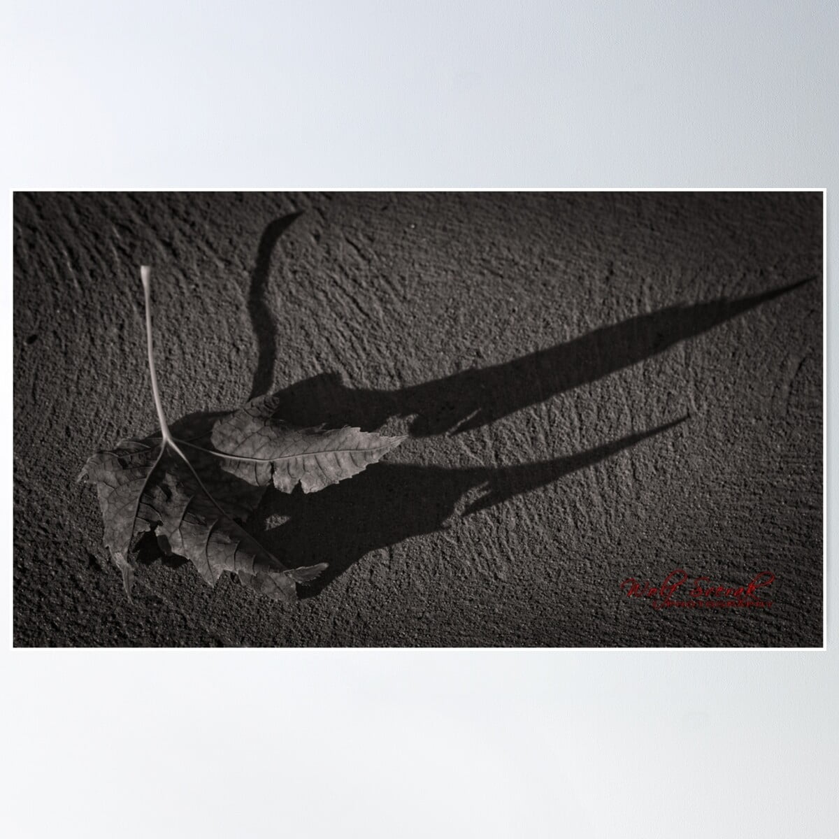 2024 Autumn Macros (14) Poster Wall Art, Modern Wall Decor For Living ...