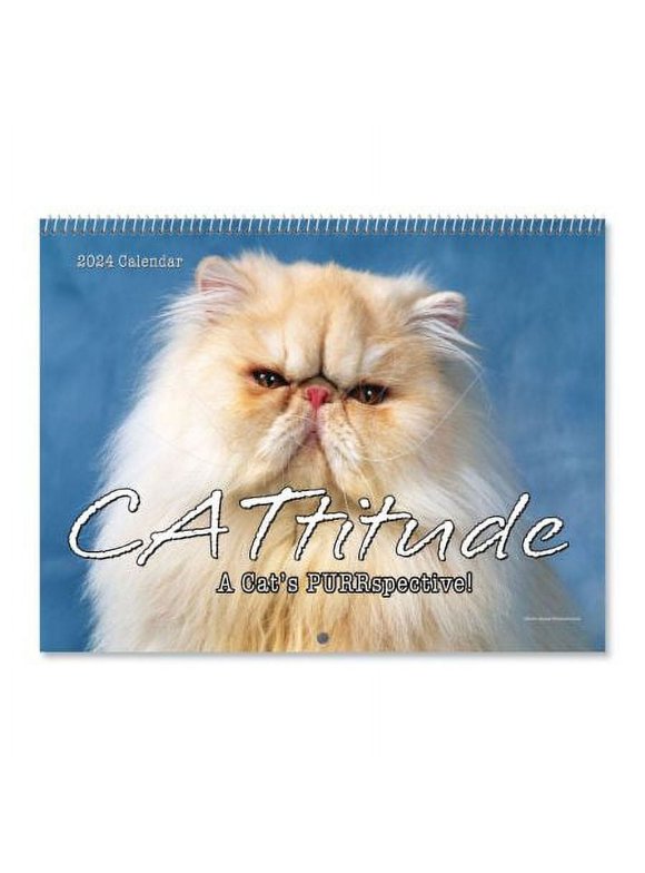 Cat Wall Calendars in Wall Calendars - Walmart.com