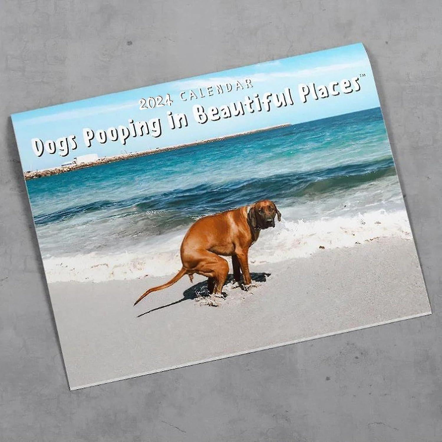2024 Calendar, Dogs Pooping In Beautiful Places Wall Calendar, Dog ...