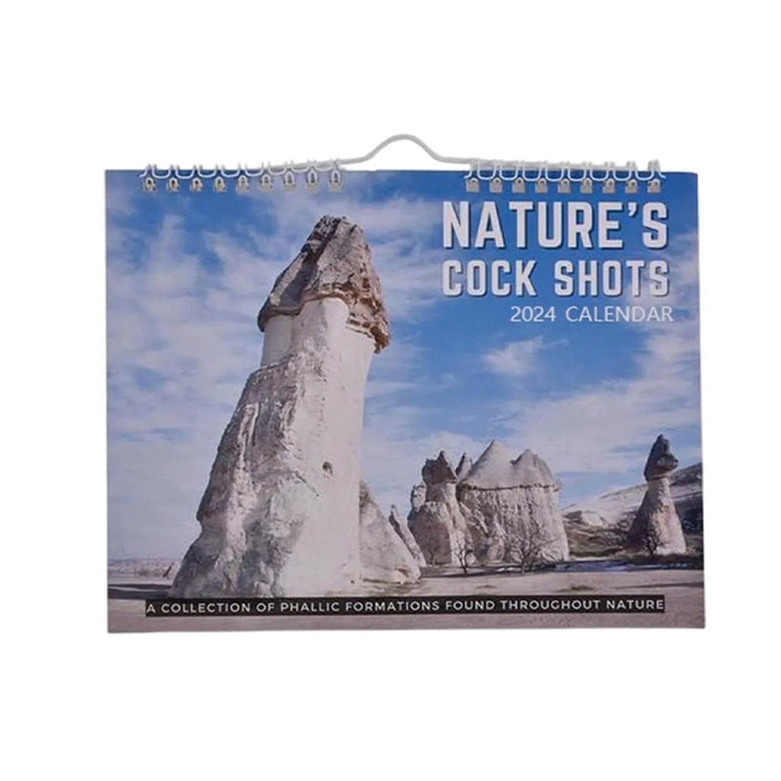 2024 Funny Prank Gift Wall Calendar 2024 Wall Calendar Natures ...