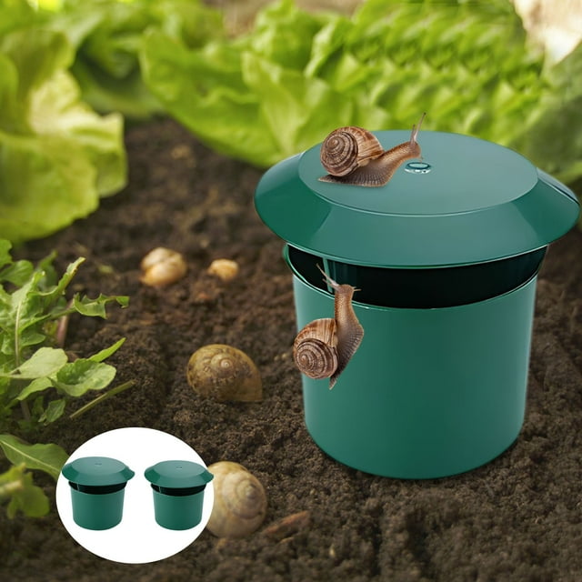 2024 New - Efficiently Snails From Your Garden Removal Say Goodbye To ...