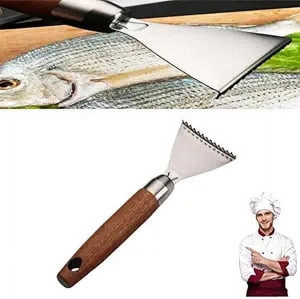 2024 New Stainless Steel Sharp Durable Fish Scale Remover,304 stainless ...