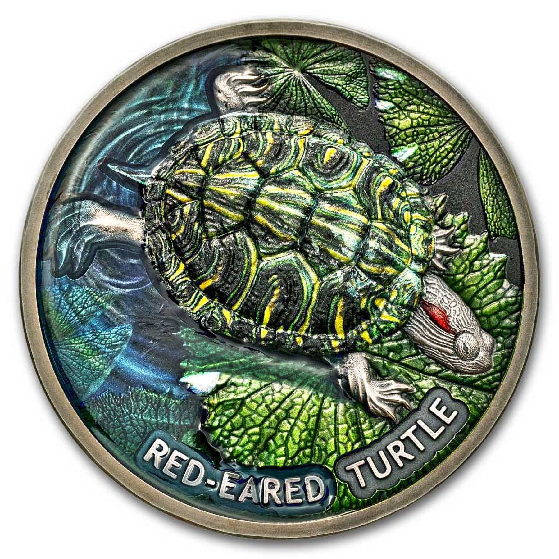 2024 Niue 2 oz Silver Antique Red-Eared Turtle (with Box & COA ...