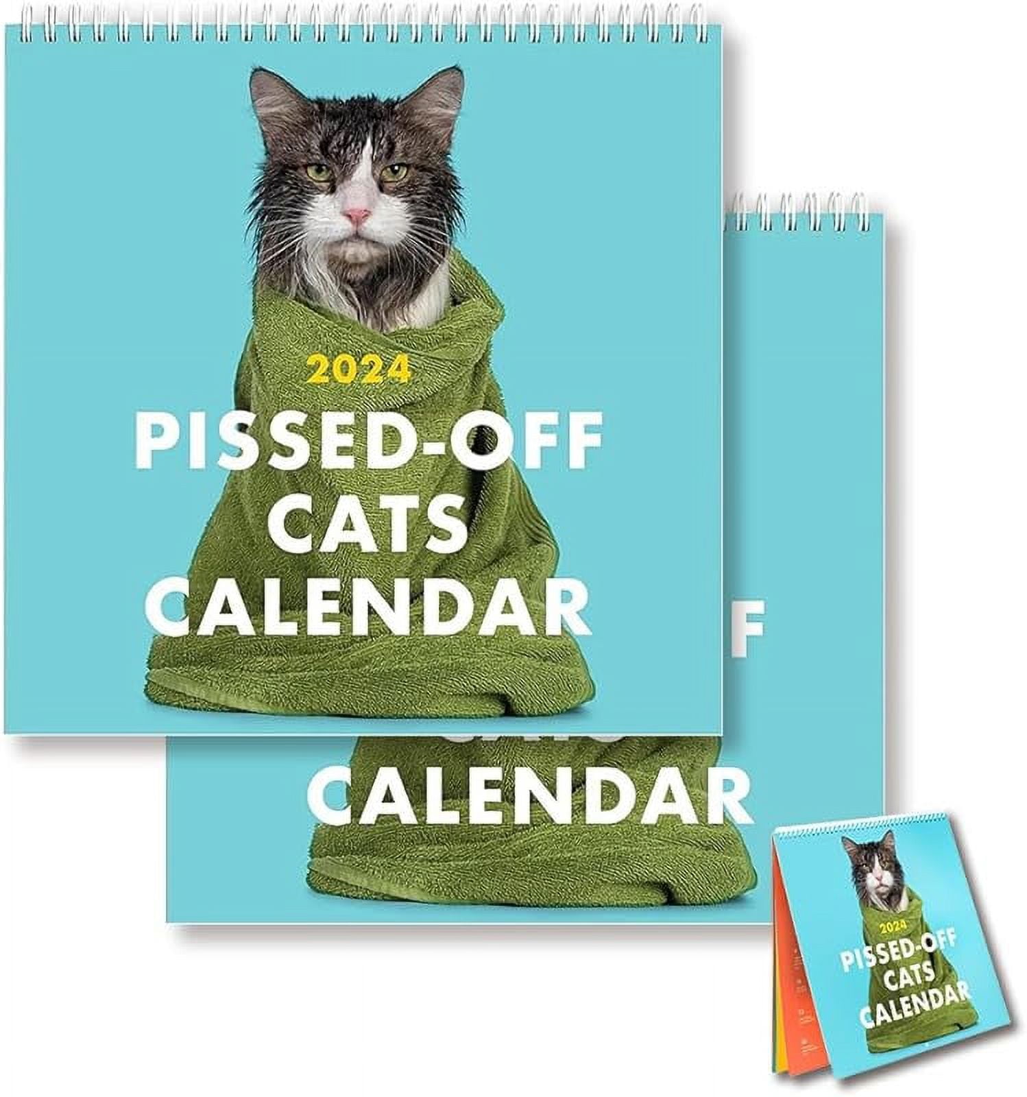2024 Pissed Off Cats New Year Calendar, Cute cats for cat Lovers UK ...