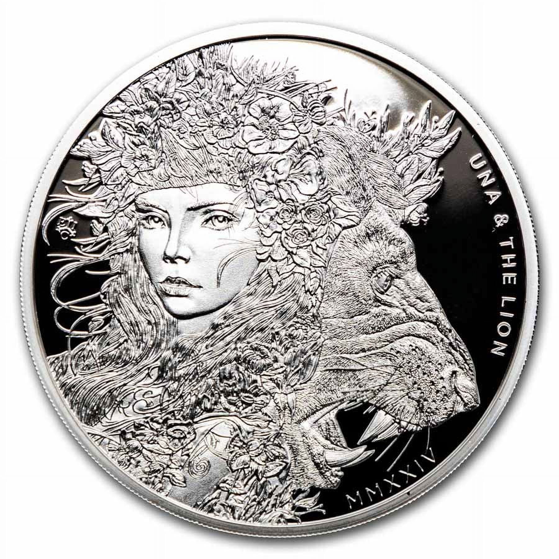 2024 St. Helena 1 oz Silver Una & the Lion Proof - Walmart.com