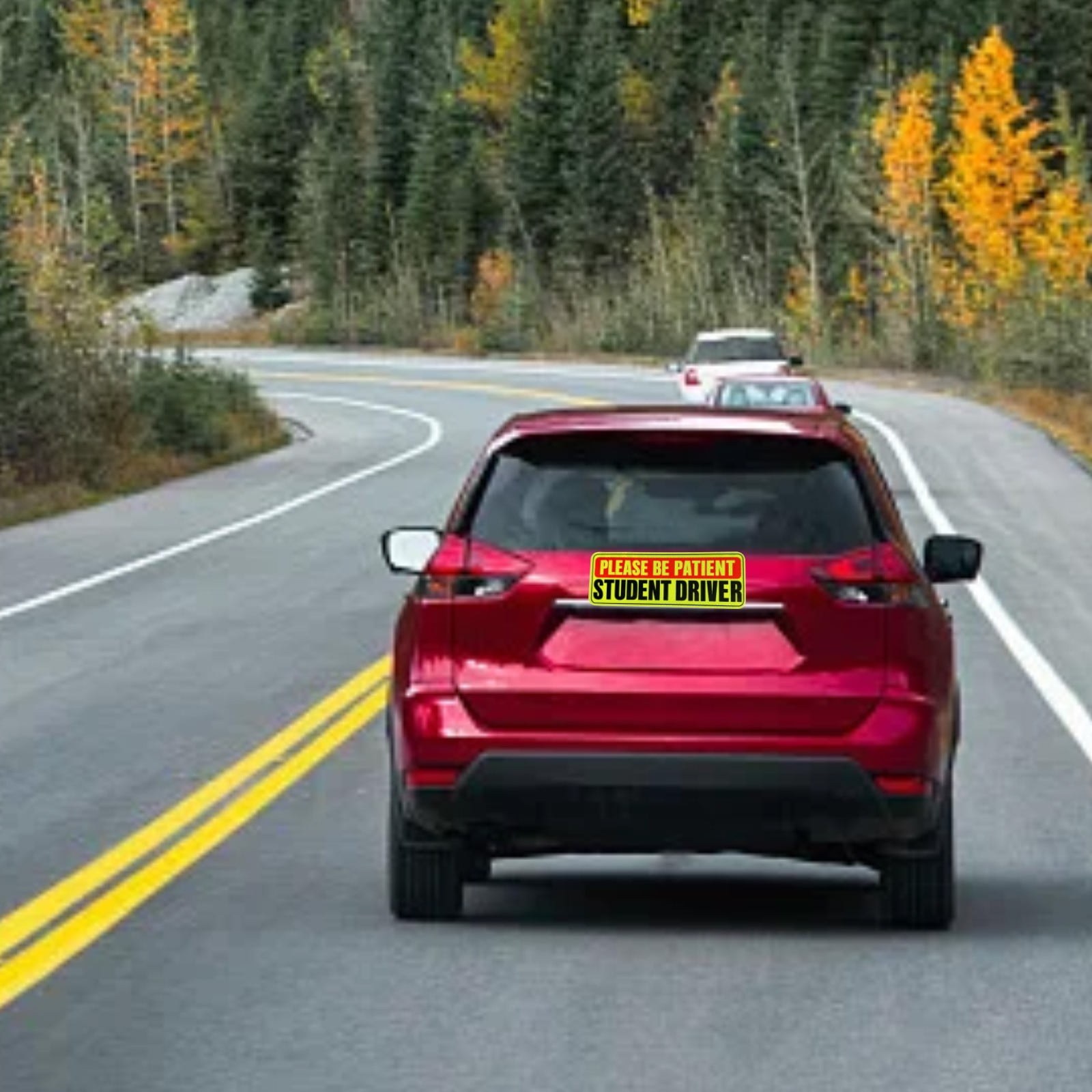 2024 Student Driver Practice Reflective Sticker Car Novice Grid Car ...