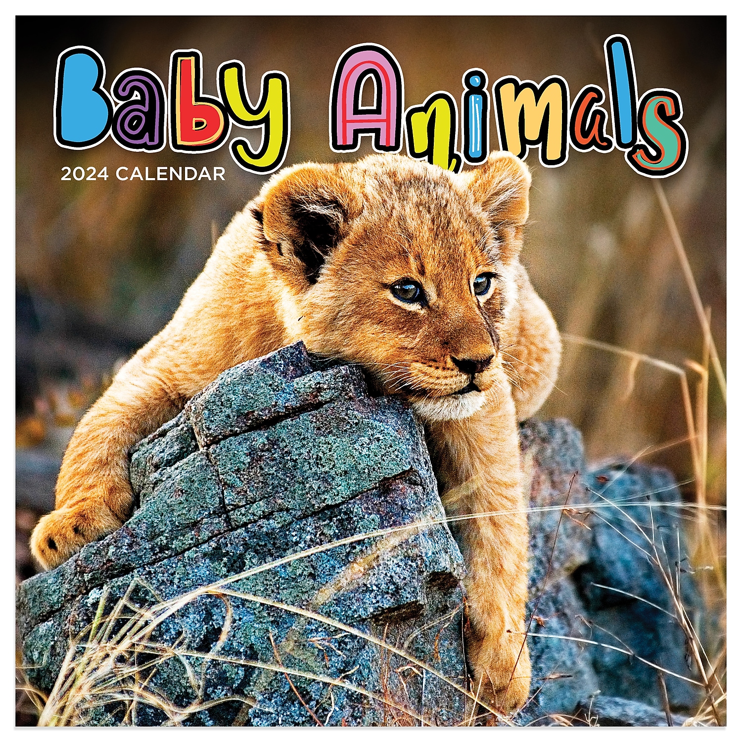 2024 TF Publishing Baby Animals 7" x 7" Monthly Mini Wall Calendar (24 ...