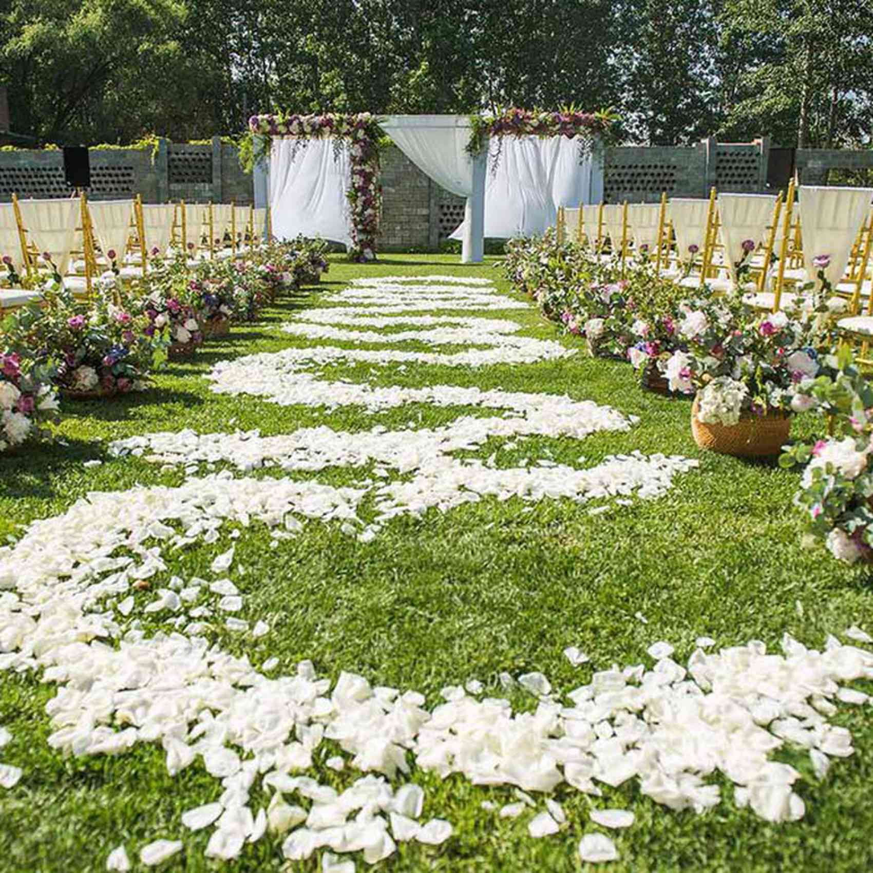 2024 TOP! 200 Pcs Silk Rose Petals Artificial Rose Flower Petal for ...