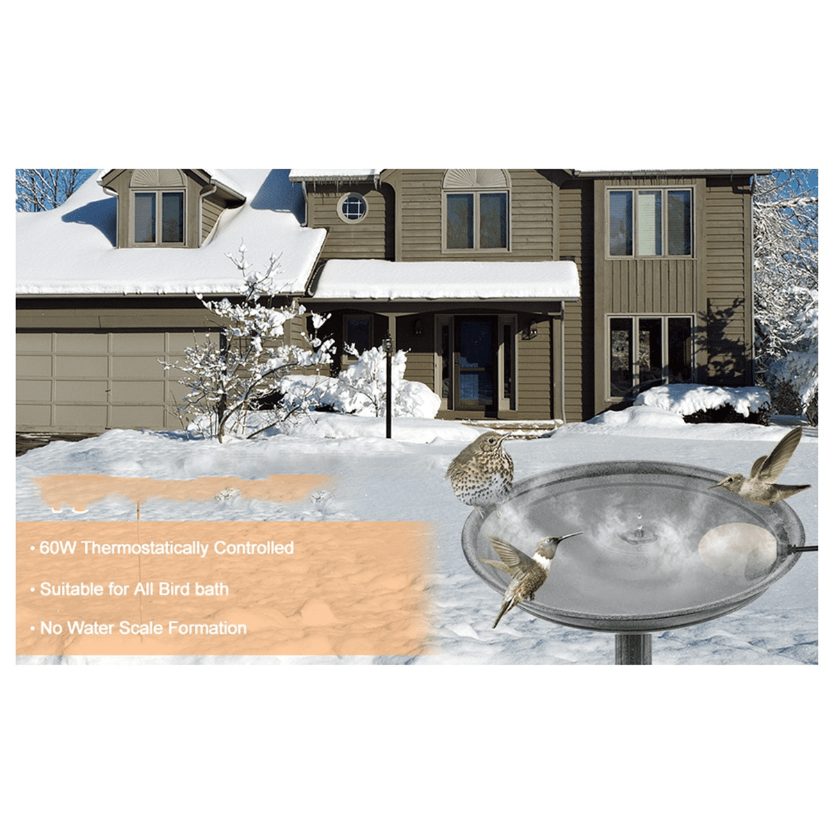 2024 TOP! Stronger Power 60W Bird Bath Heater, Birdbath Deicer with Thermostatically Controlled ...