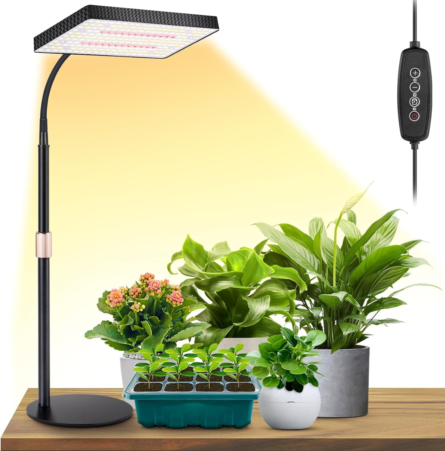Battery Operated Grow Lights For Indoor Plantsnull