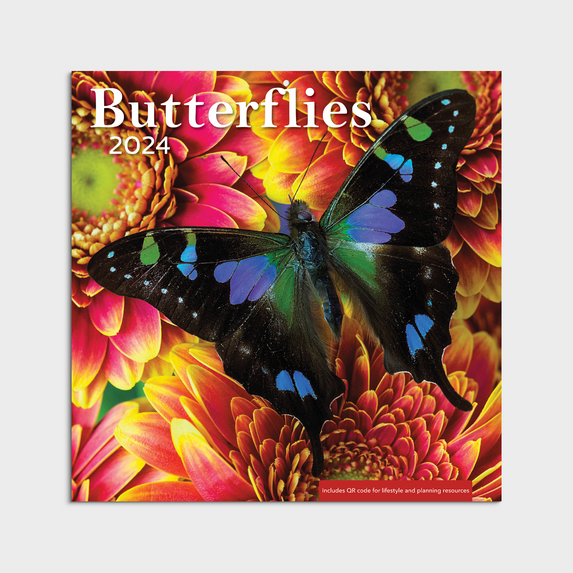2024-Wall Calendar-Butterflies-12x12 Hanging Wall Calendar by DaySpring ...