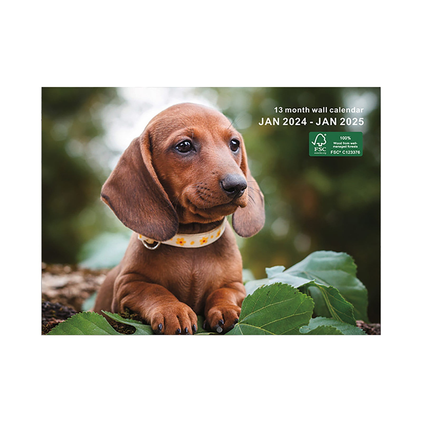2024 Wall Hanging Planner Cute Animal Style English Calendar For ...