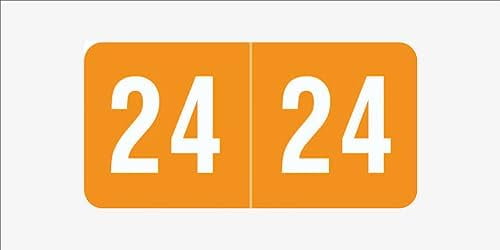 2024 Year Labels For File Folders, Mini Stickers For Medical Charts, 1/ ...