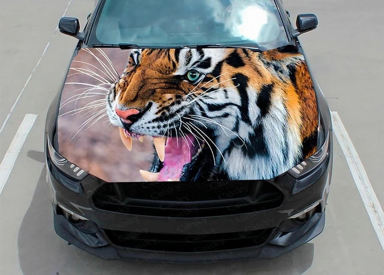 2024 animal Car Decal Graphics Vinyl decal Cover Pattern Packaging ...