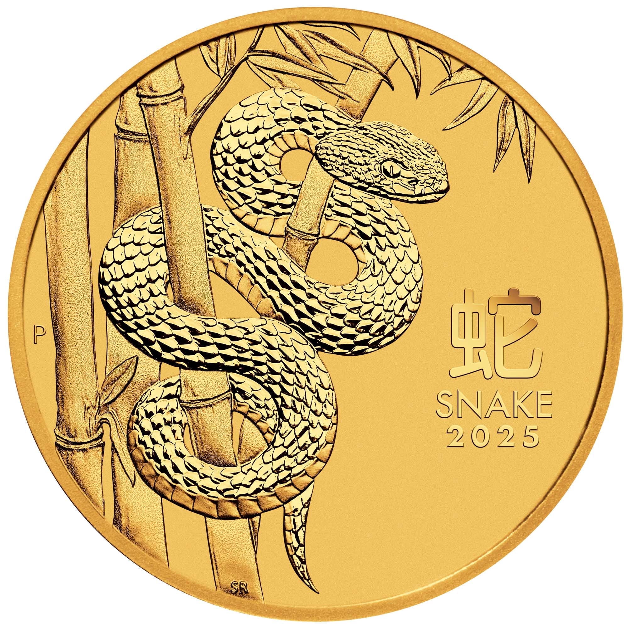 2025 1 oz Year of the Snake Gold Coin - Lunar Series III - Walmart.com