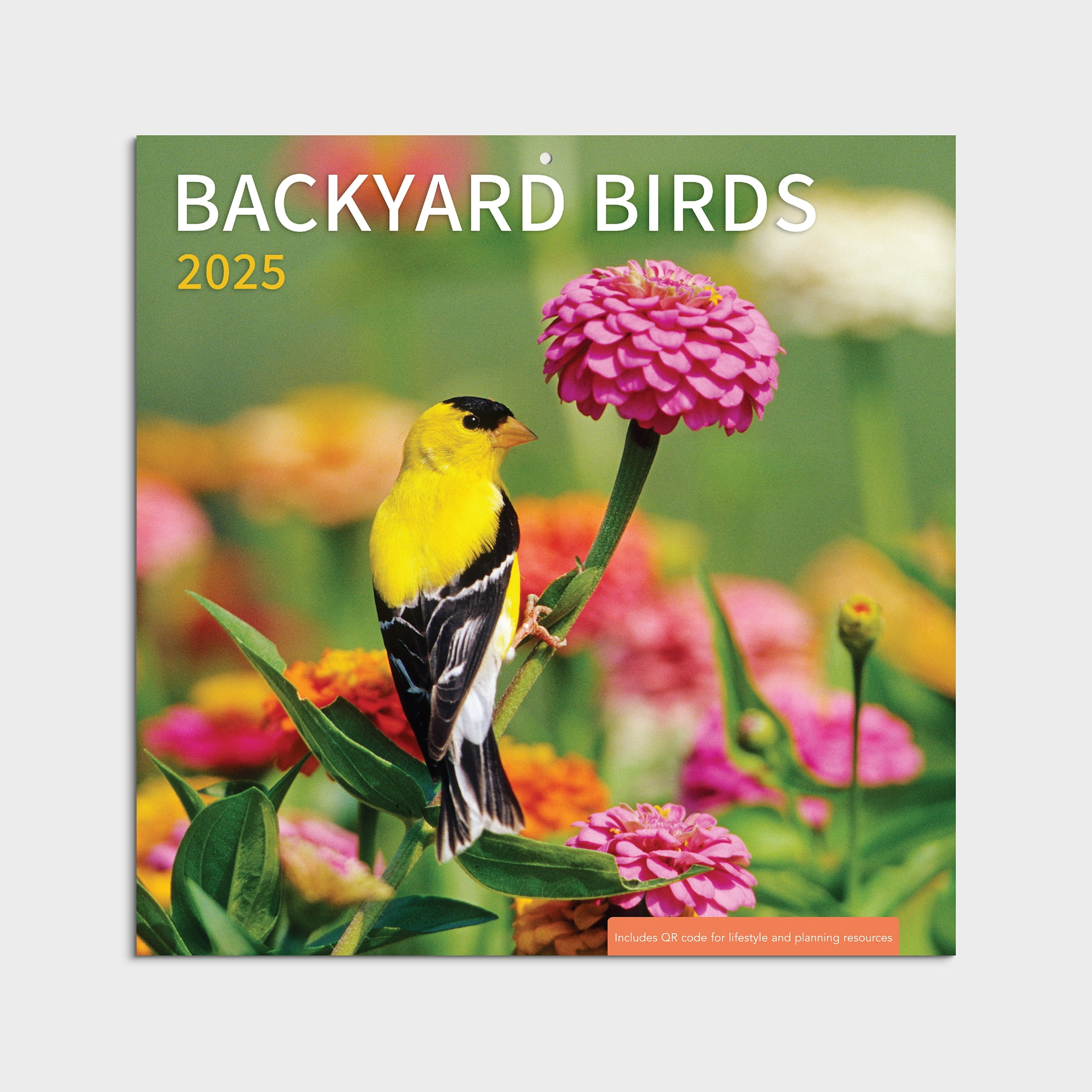 2025-12 Month Hanging Wall Calendar-Backyard Birds -12x12 by Dayspring ...