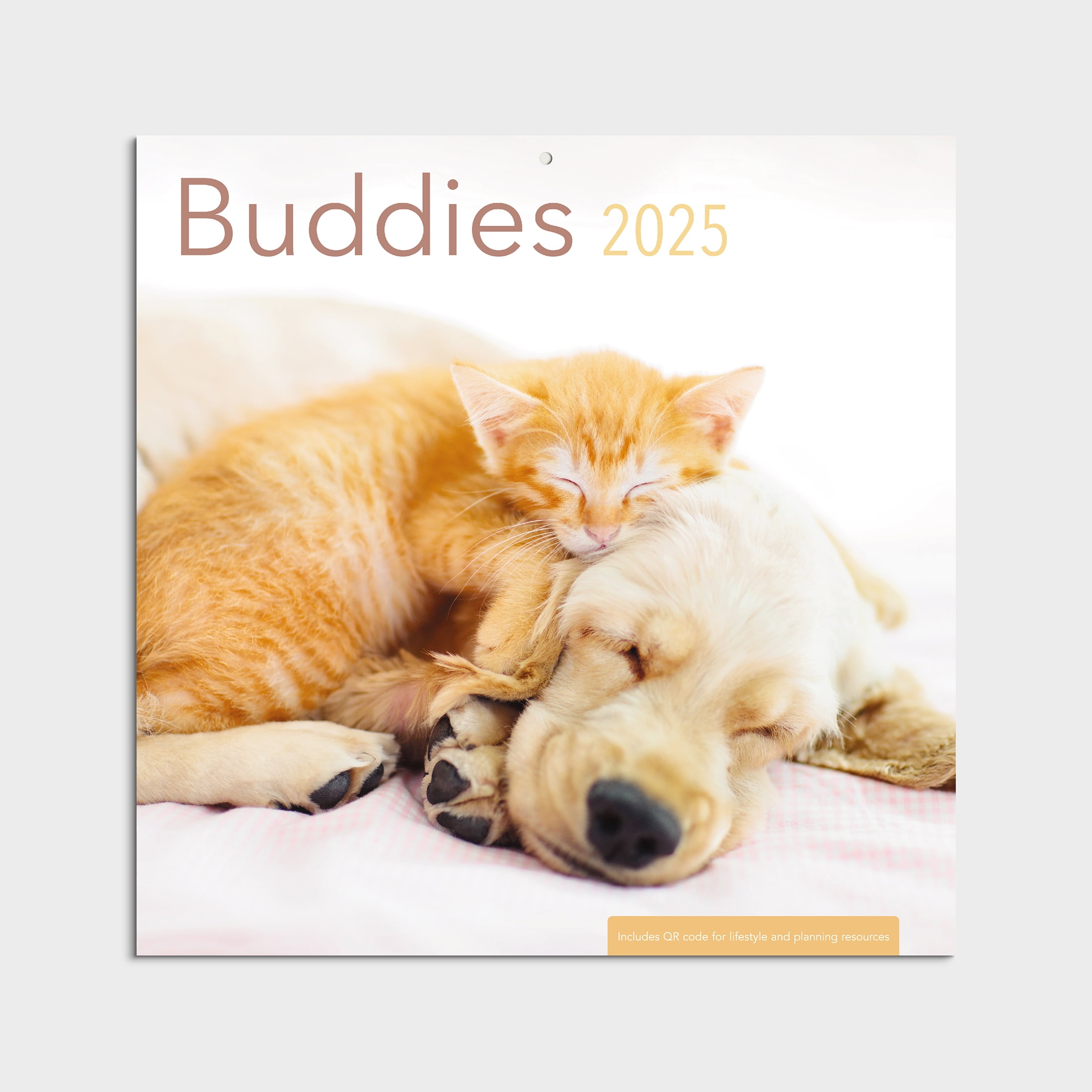 2025-12 Month Hanging Wall Calendar-Buddies-12x12 by Dayspring ...
