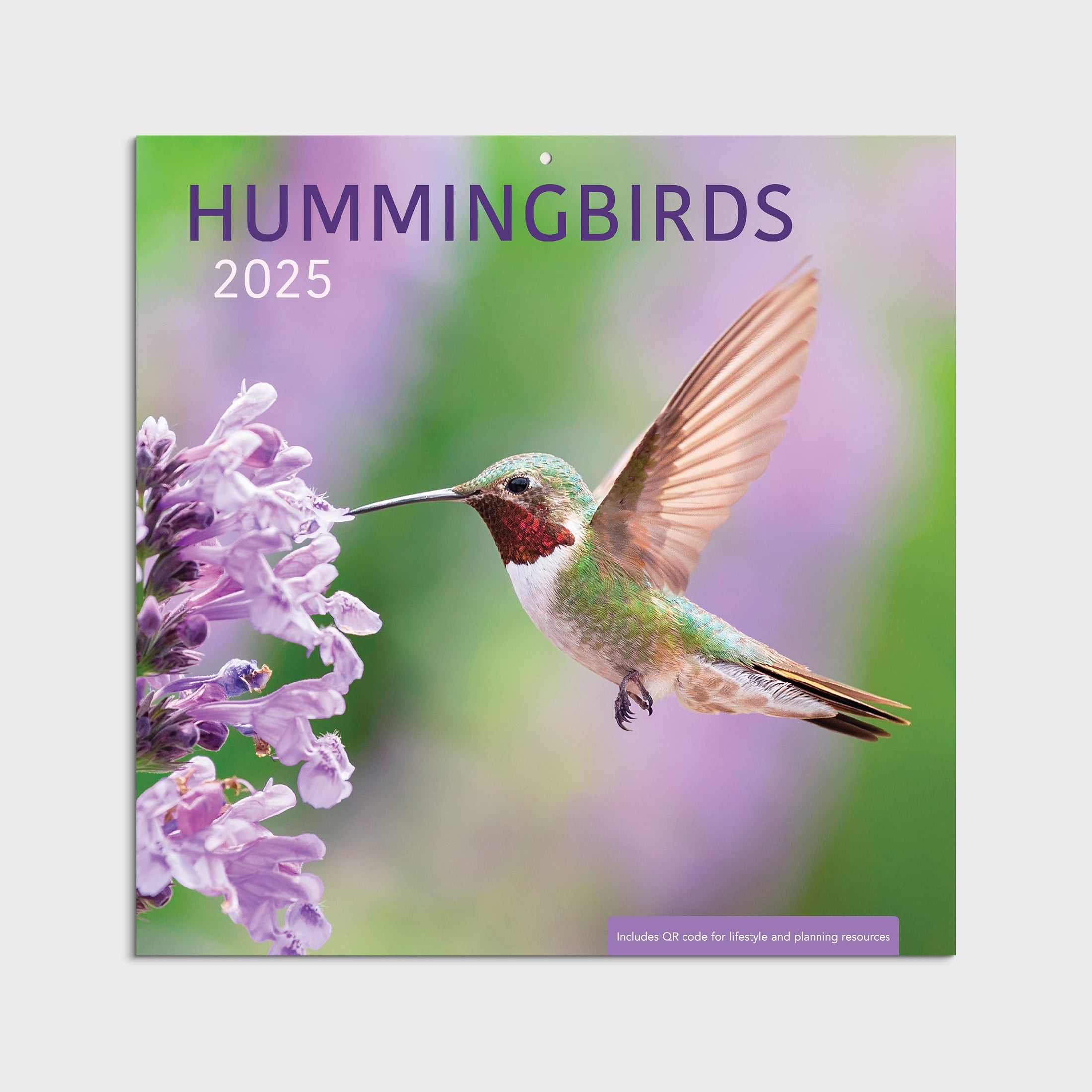 2025-12 Month Hanging Wall Calendar-Hummingbirds-12x12 by Dayspring ...