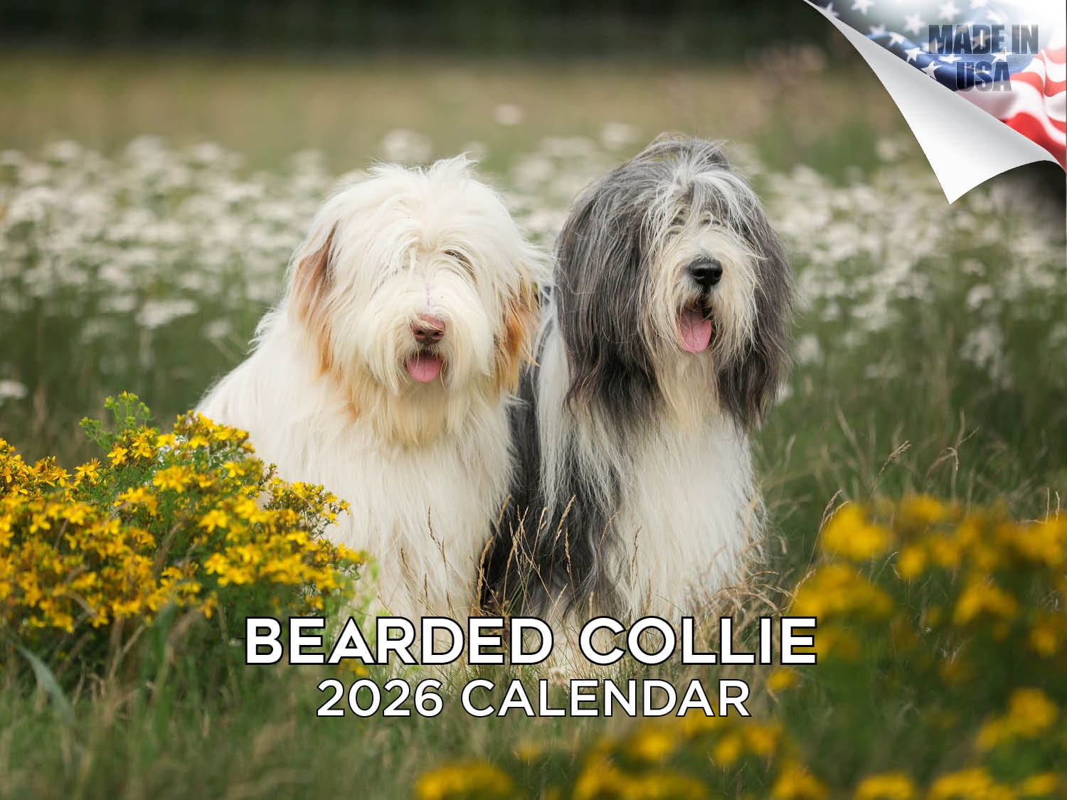 2025 2026 Bearded Collie Calendar - Dog Breed Monthly Wall Calendar ...