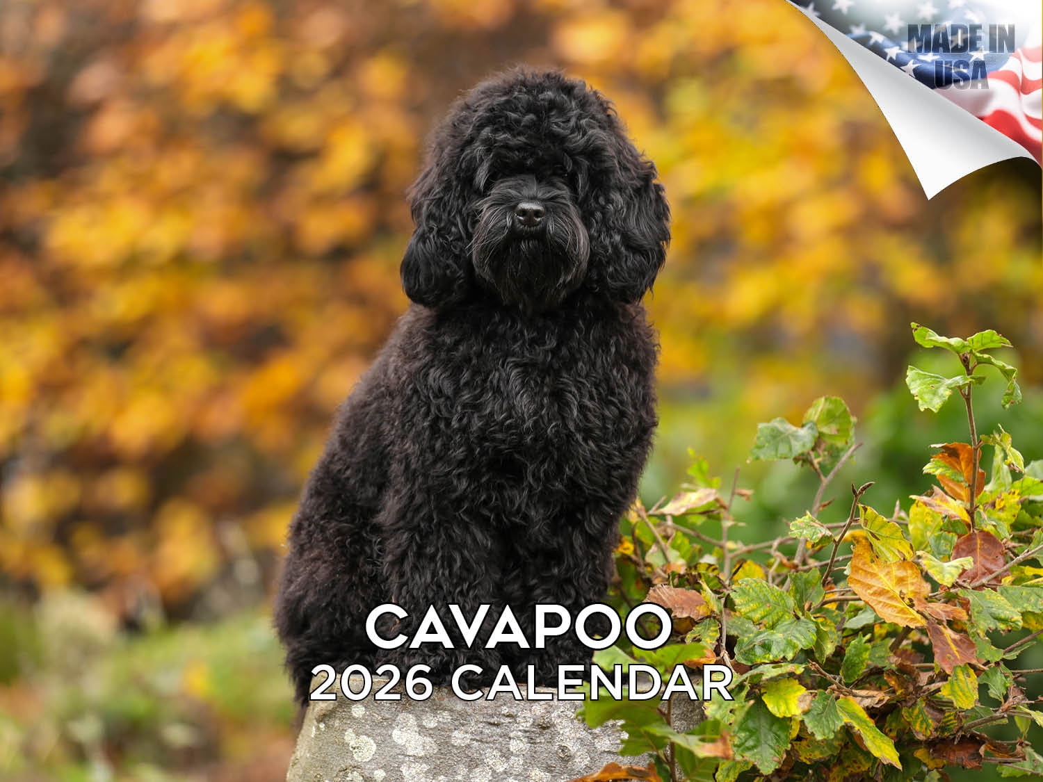 2025 2026 Cavapoo Calendar - Dog Breed Monthly Wall Calendar - 12 x 18 ...