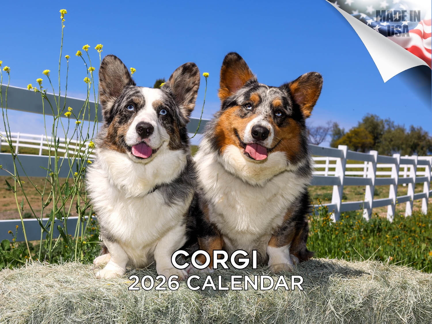 2025 2026 Corgi Calendar - Dog Breed Monthly Wall Calendar - 12 x 18 ...