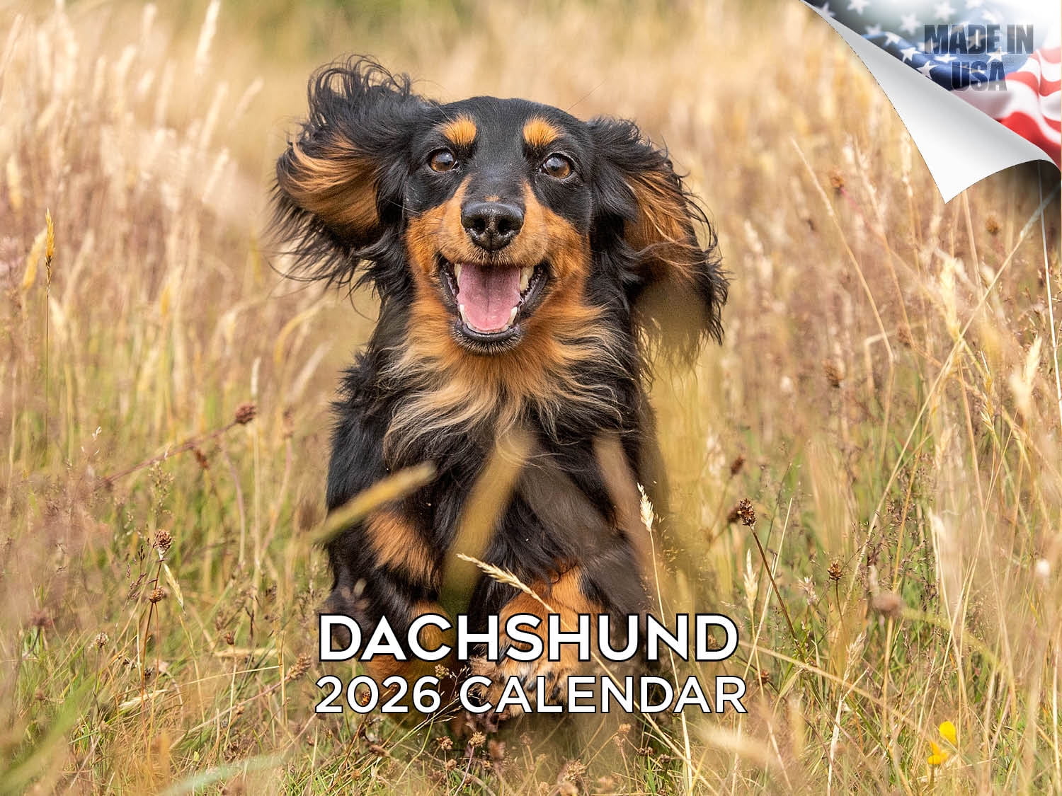 2025 2026 Dachshund Calendar - Dog Breed Monthly Wall Calendar - 12 x ...
