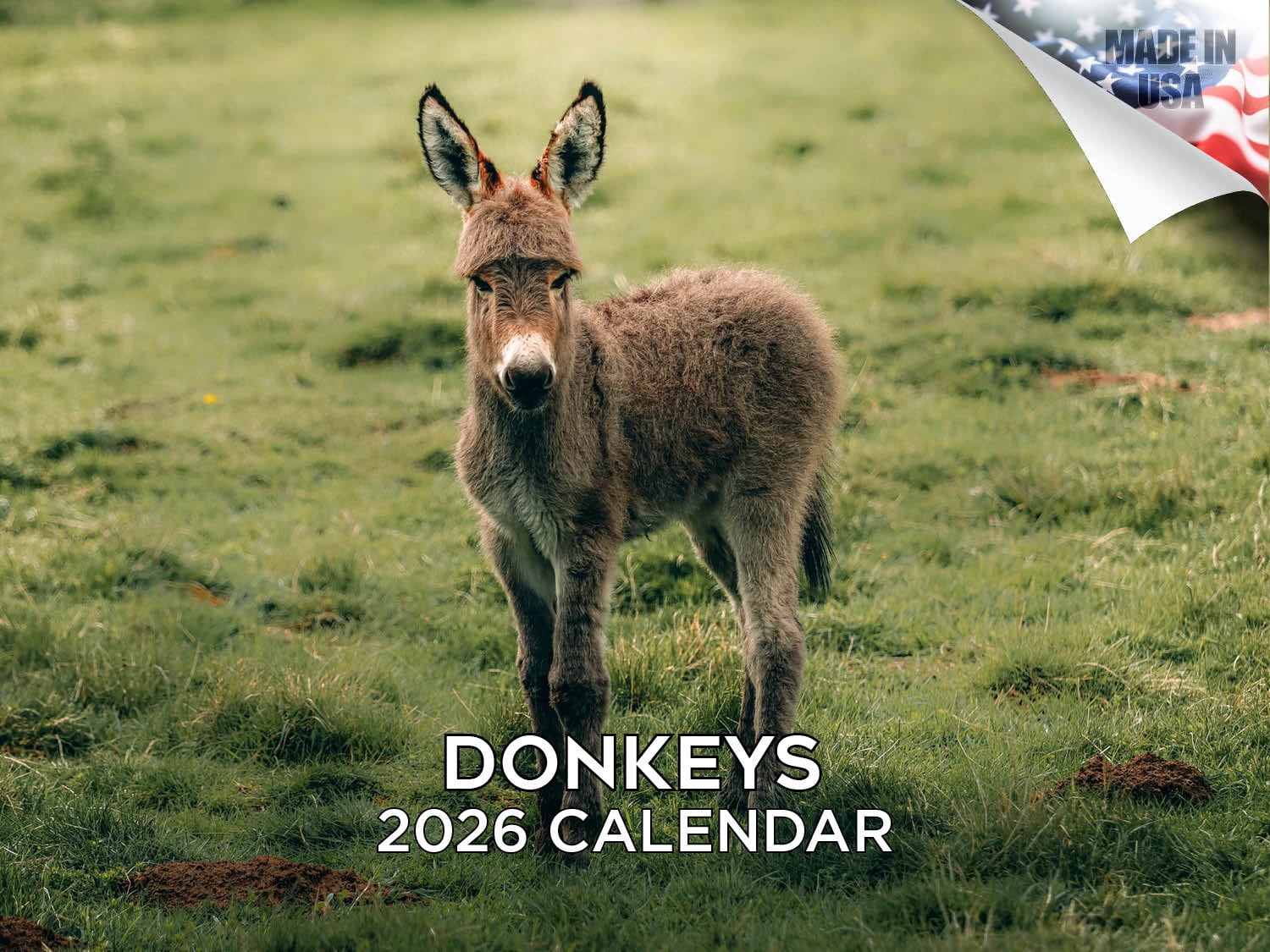 2025 2026 Donkeys Calendar - Cute Farm Animal Monthly Wall Calendar ...