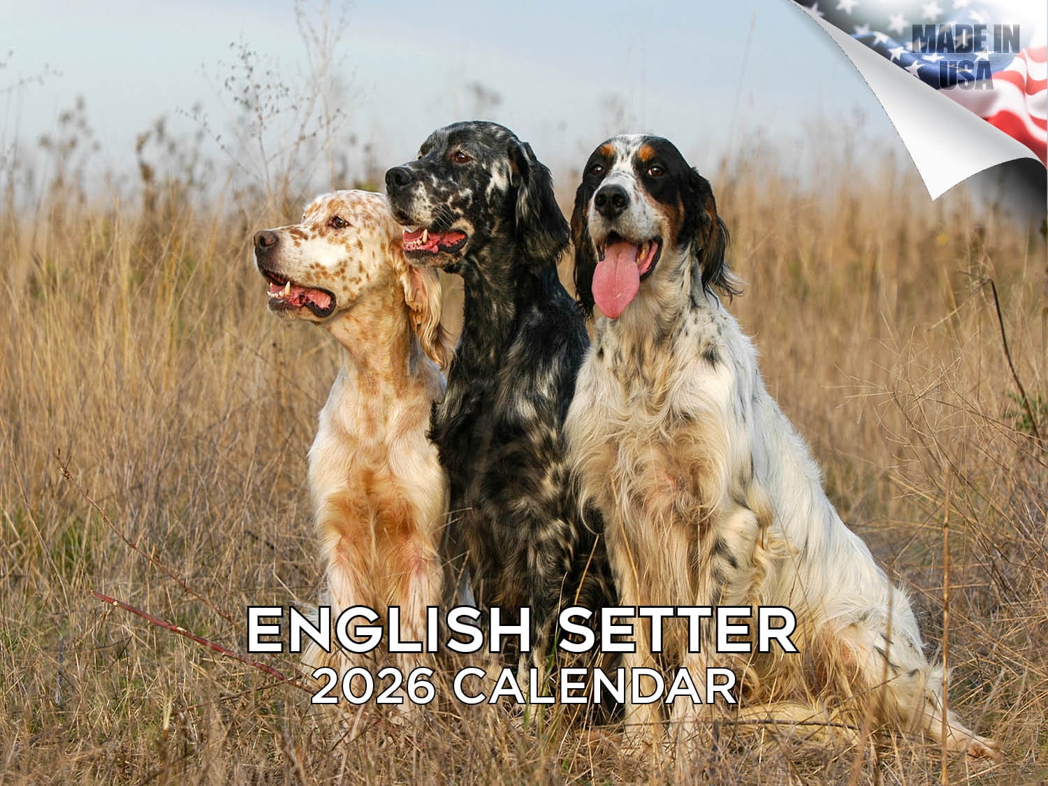 2025 2026 English Setter Calendar - Dog Breed Monthly Wall Calendar ...