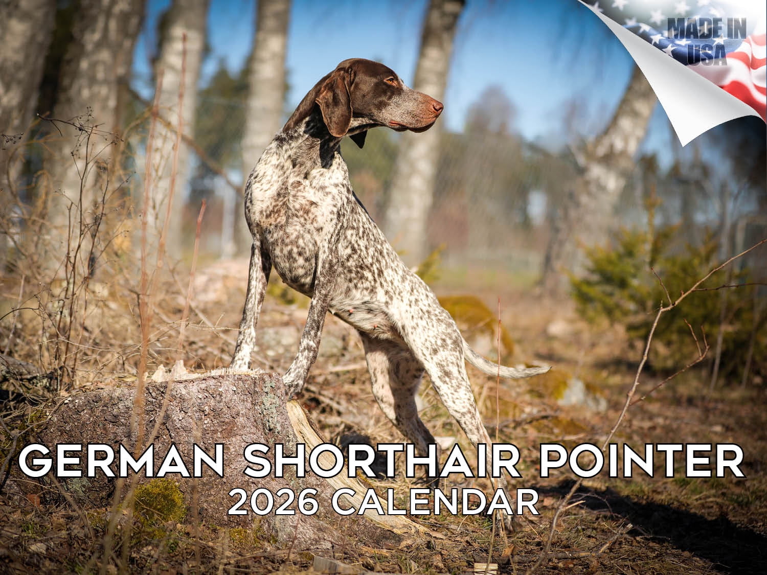 2025 2026 German Shorthair Pointer Calendar - Dog Breed Monthly Wall ...