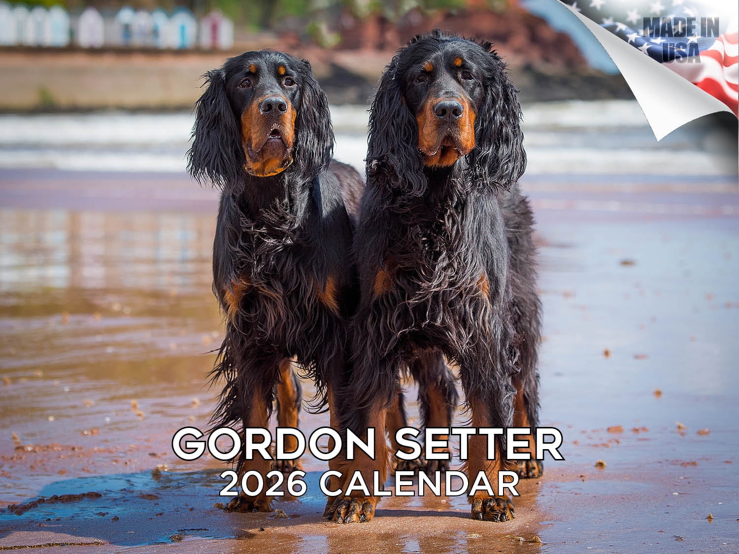 2025 2026 Gordon Setter Calendar - Dog Breed Monthly Wall Calendar - 12 ...